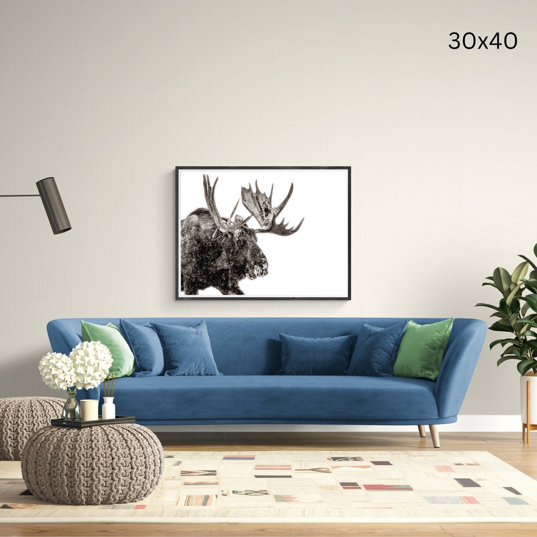 Bull Moose Portrait Grand Tetons Wildlife Photography, Black and White ...
