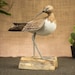 Hand Carved, Hand Painted Wooden Bird Sculpture of a Dunlin - Etsy