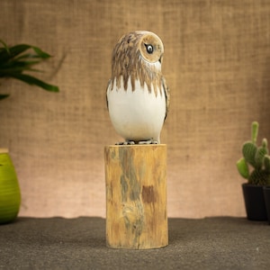 Hand Carved, Hand Painted Wooden Bird Sculpture of a Barn Owl - Etsy