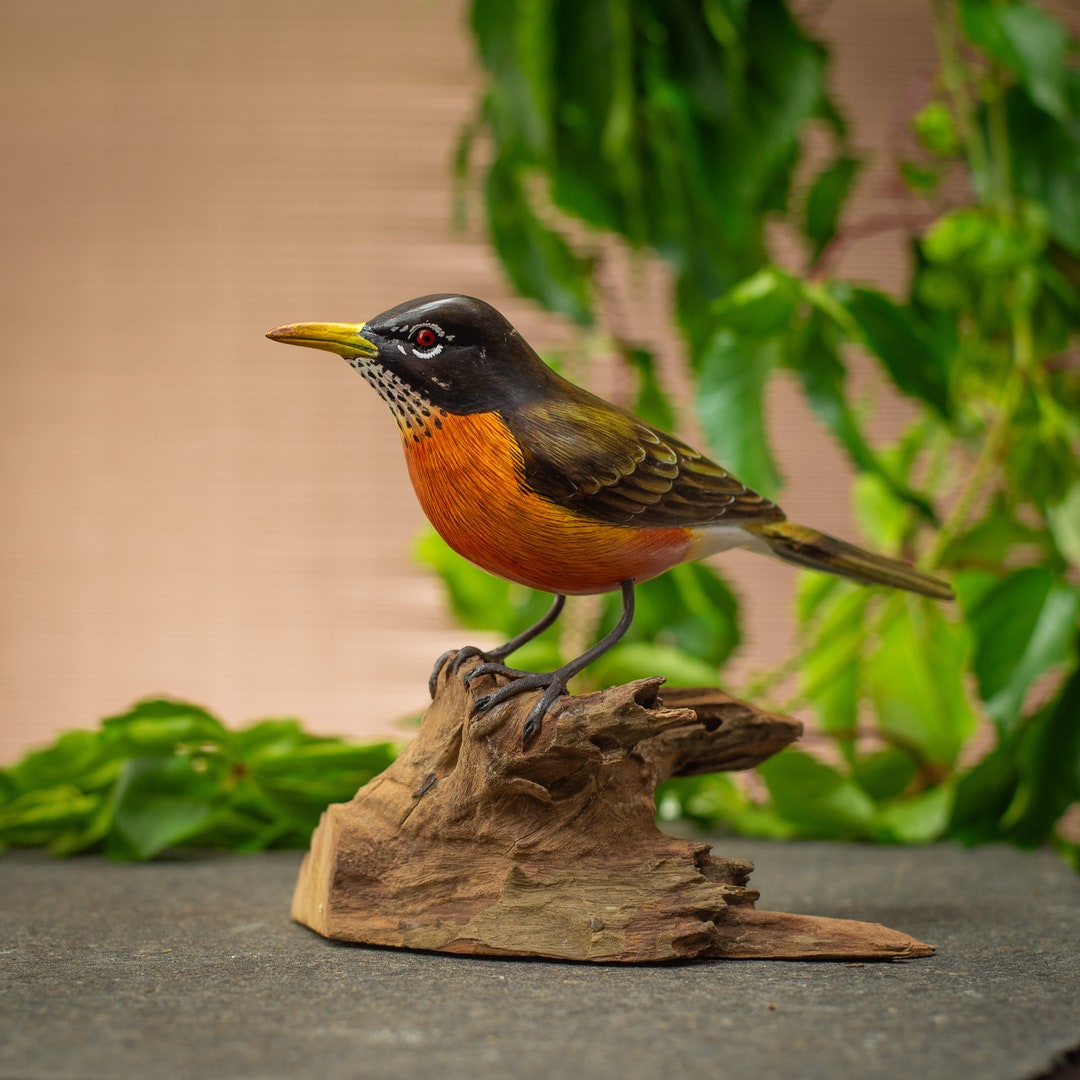 Hand Carved & Painted American Robin - Etsy