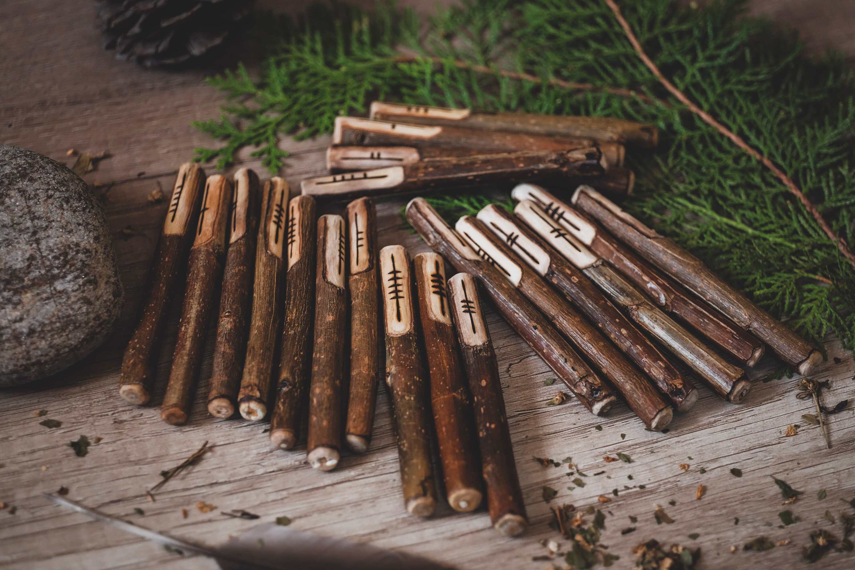 Celtic Runes Ogham Runes on Tree Trunks. Ogham Walking - Etsy