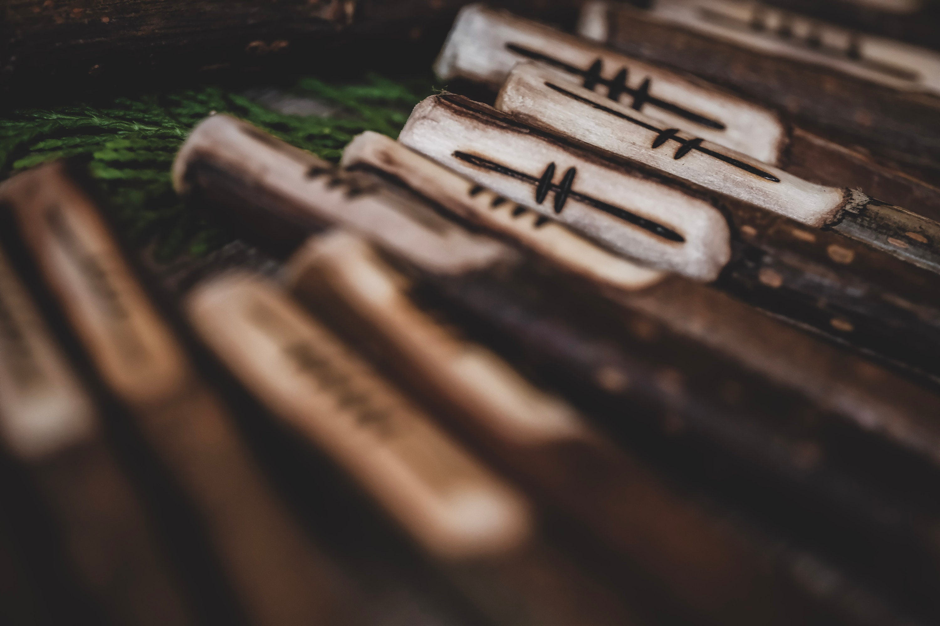 Celtic Runes, Ogham Runes on Tree Trunks. Ogham Walking Sticks ...