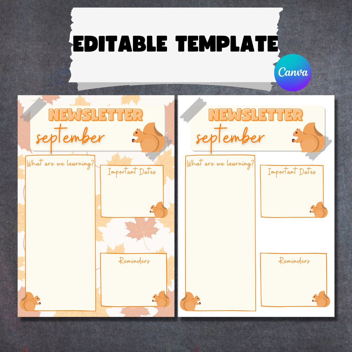 Editable Teacher Newsletter Template Printable Christmas Monthly ...