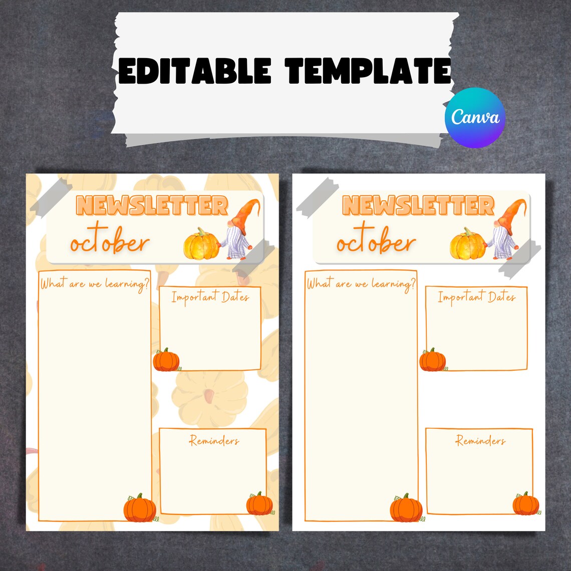 Editable Teacher Newsletter Template Printable Christmas Monthly ...