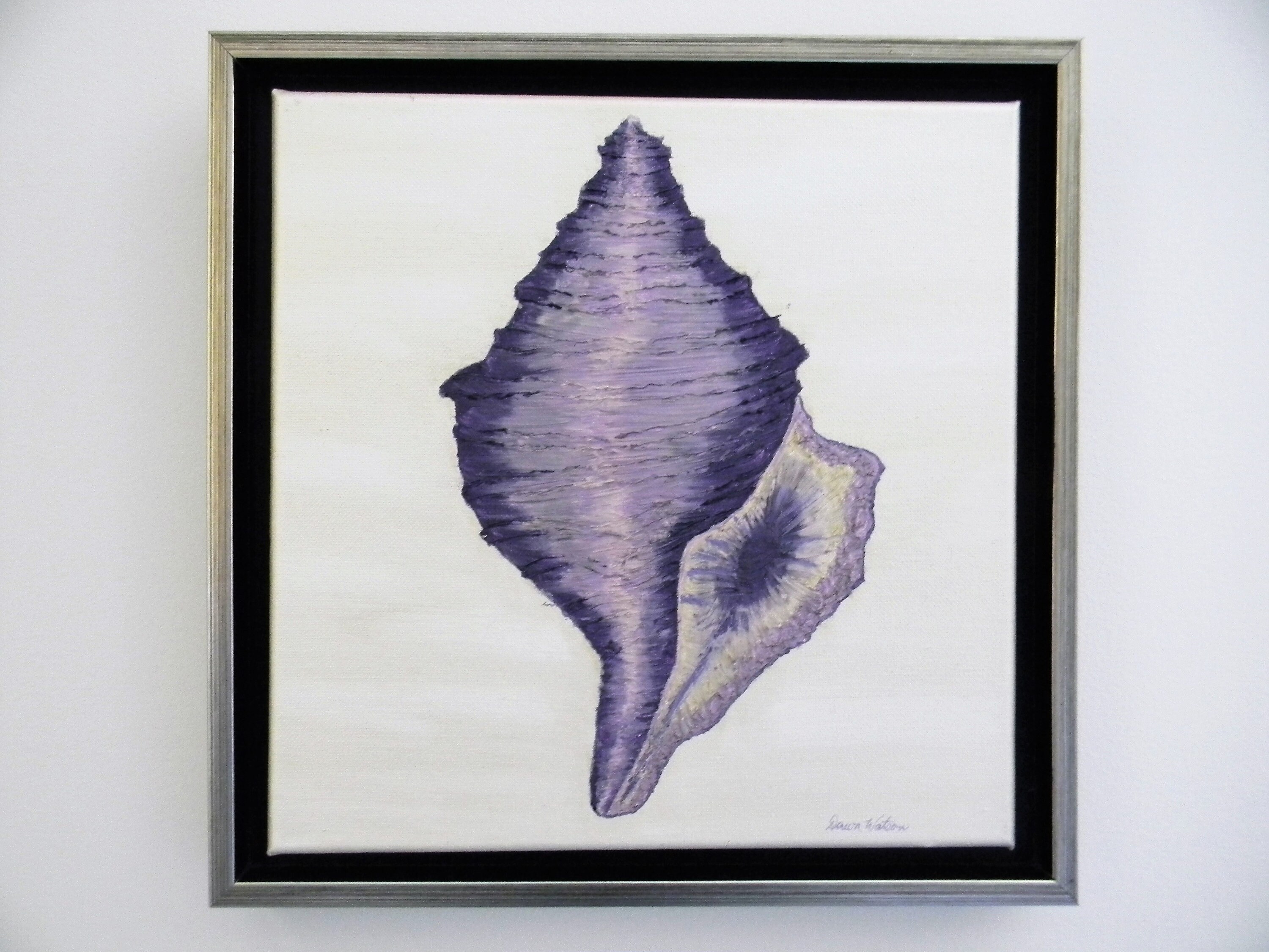 Purple Seashell Drawing