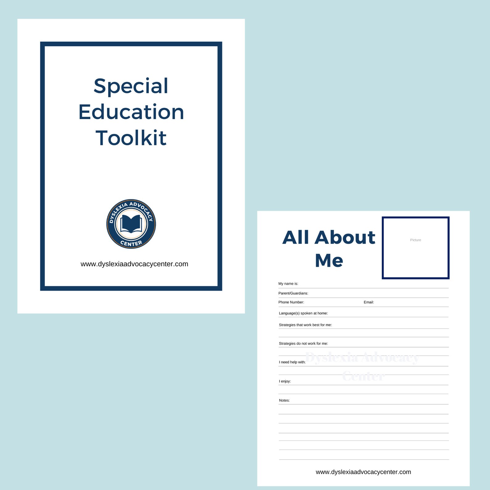 Special Education Toolkit, Dyslexia Toolkit, IEP Binder - Etsy