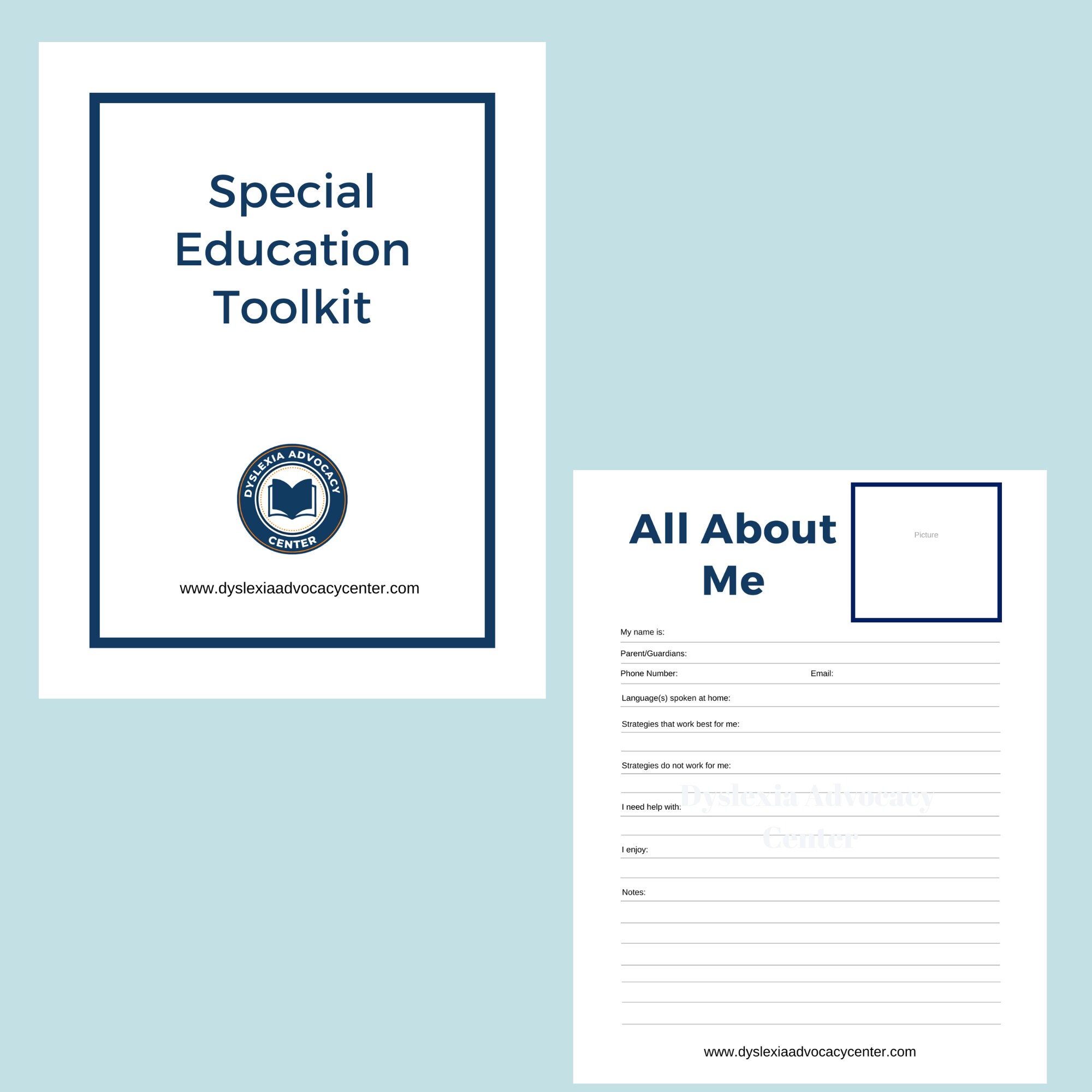 Special Education Toolkit, Dyslexia Toolkit, IEP Binder - Etsy