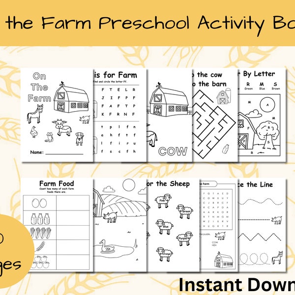 Pre School Lesson and Book - Etsy