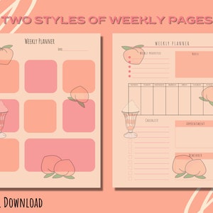 Peach Printable Planner 2023-2025 Planner Cute Digital - Etsy