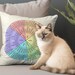Feelings Wheel Pillow, Emotion Wheel Pillow, Therapist Pillow ...