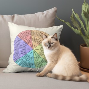 Feelings Wheel Pillow, Emotion Wheel Pillow, Therapist Pillow ...