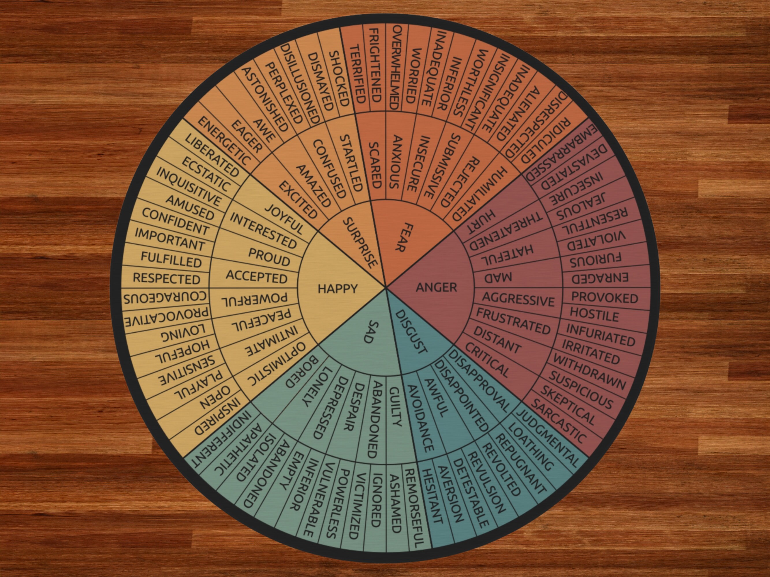 Feelings Rug, Emotion Wheel Rug, Therapist Decor, Feelings Wheel, Wheel ...