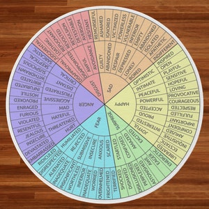 Feelings Rug, Emotion Wheel Rug, Therapist Decor, Feelings Wheel, Wheel ...