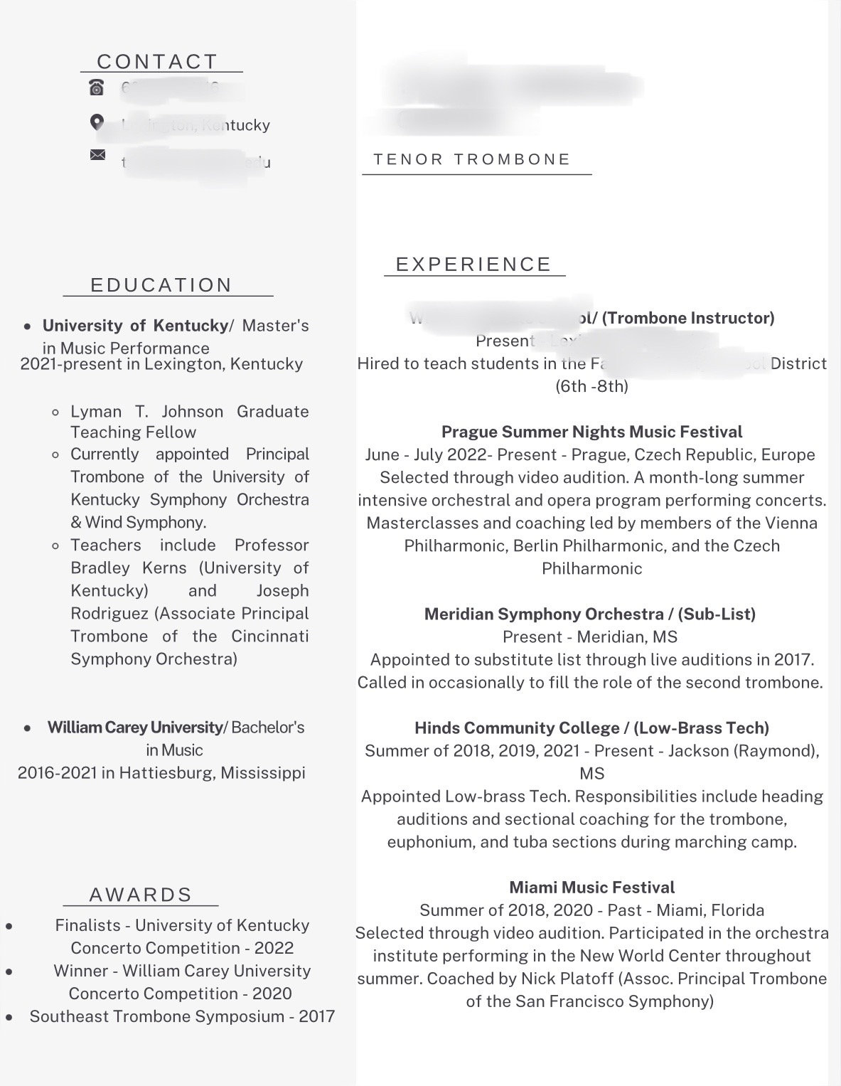Custom Resume - Etsy
