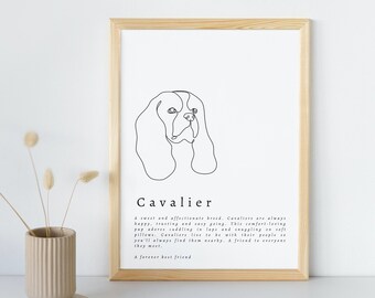 Cavalier Definition - Etsy