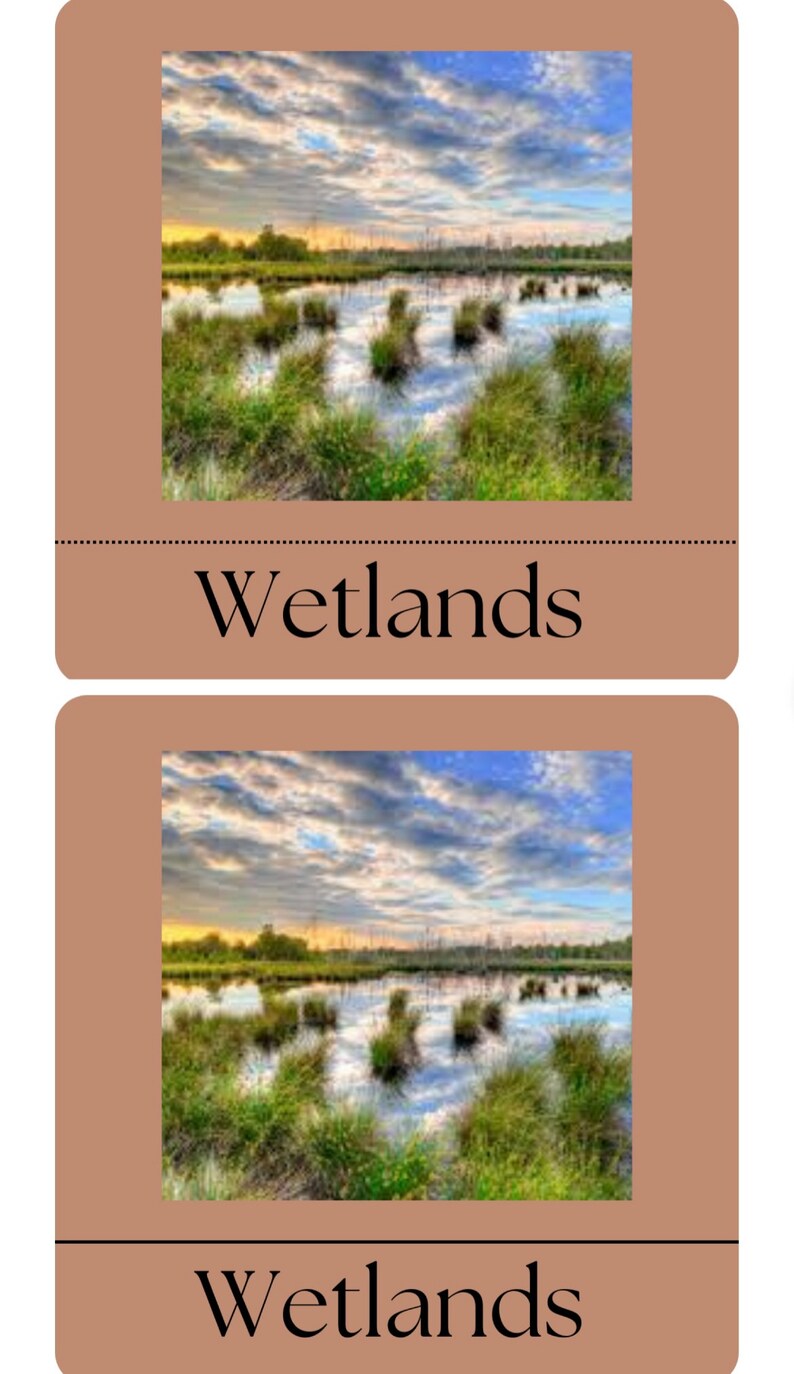 Parts of a River: Montessori 3 Part Cards - Etsy