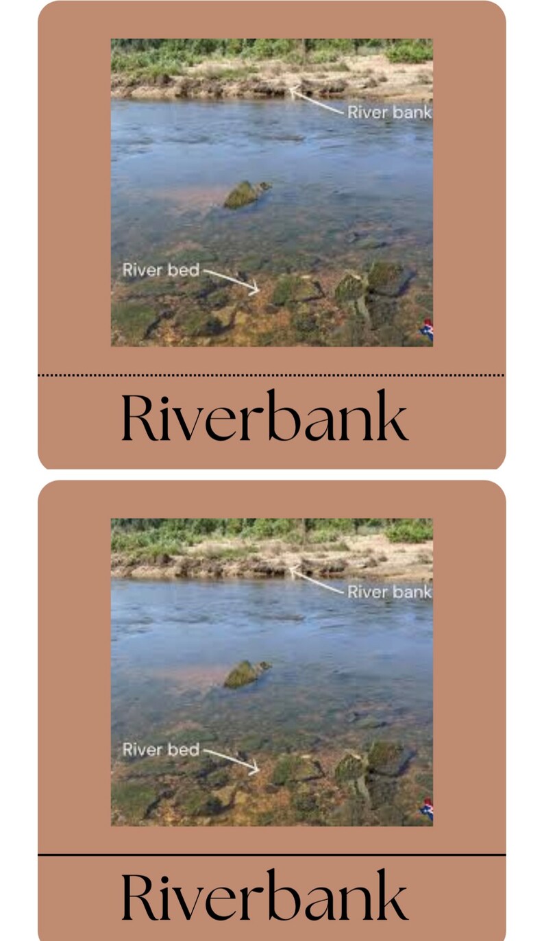 Parts of a River: Montessori 3 Part Cards - Etsy