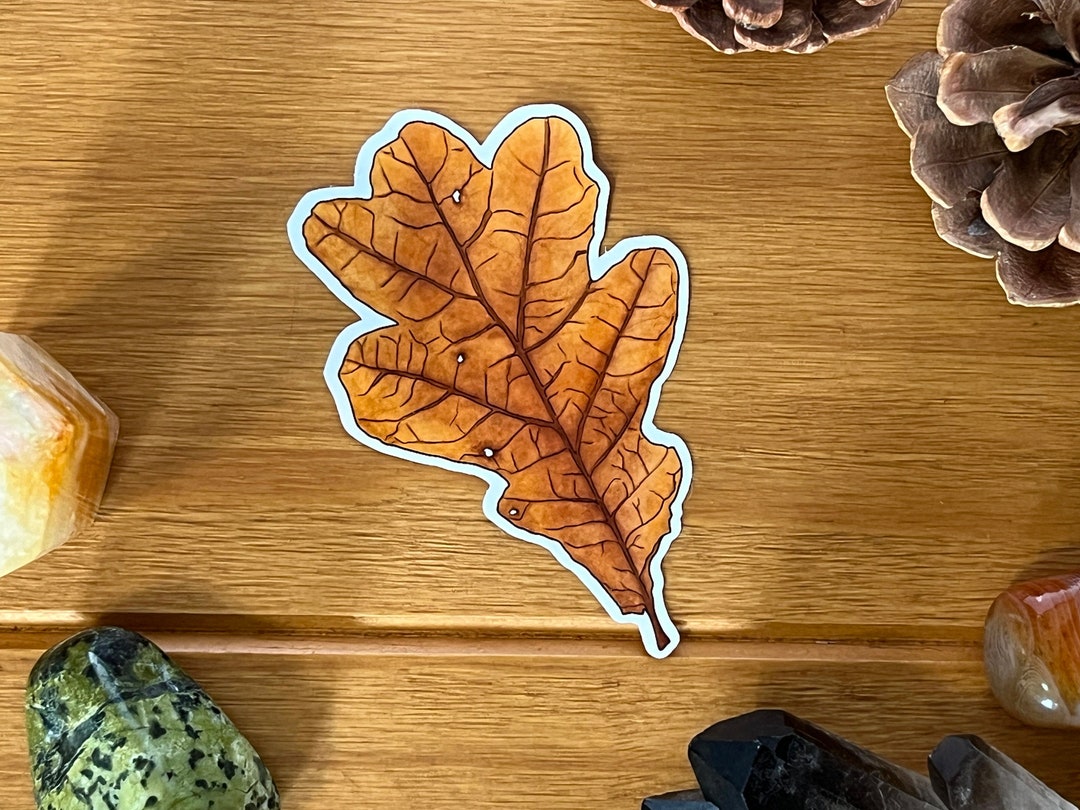 Soft Matte Vinyl Oak Leaf Sticker Leaves Fall Stickers Waterproof ...