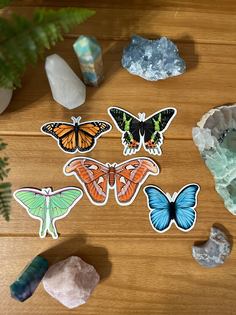 Soft Matte Vinyl Atlas Moth Sticker Attacus Atlas Sticker Insect ...