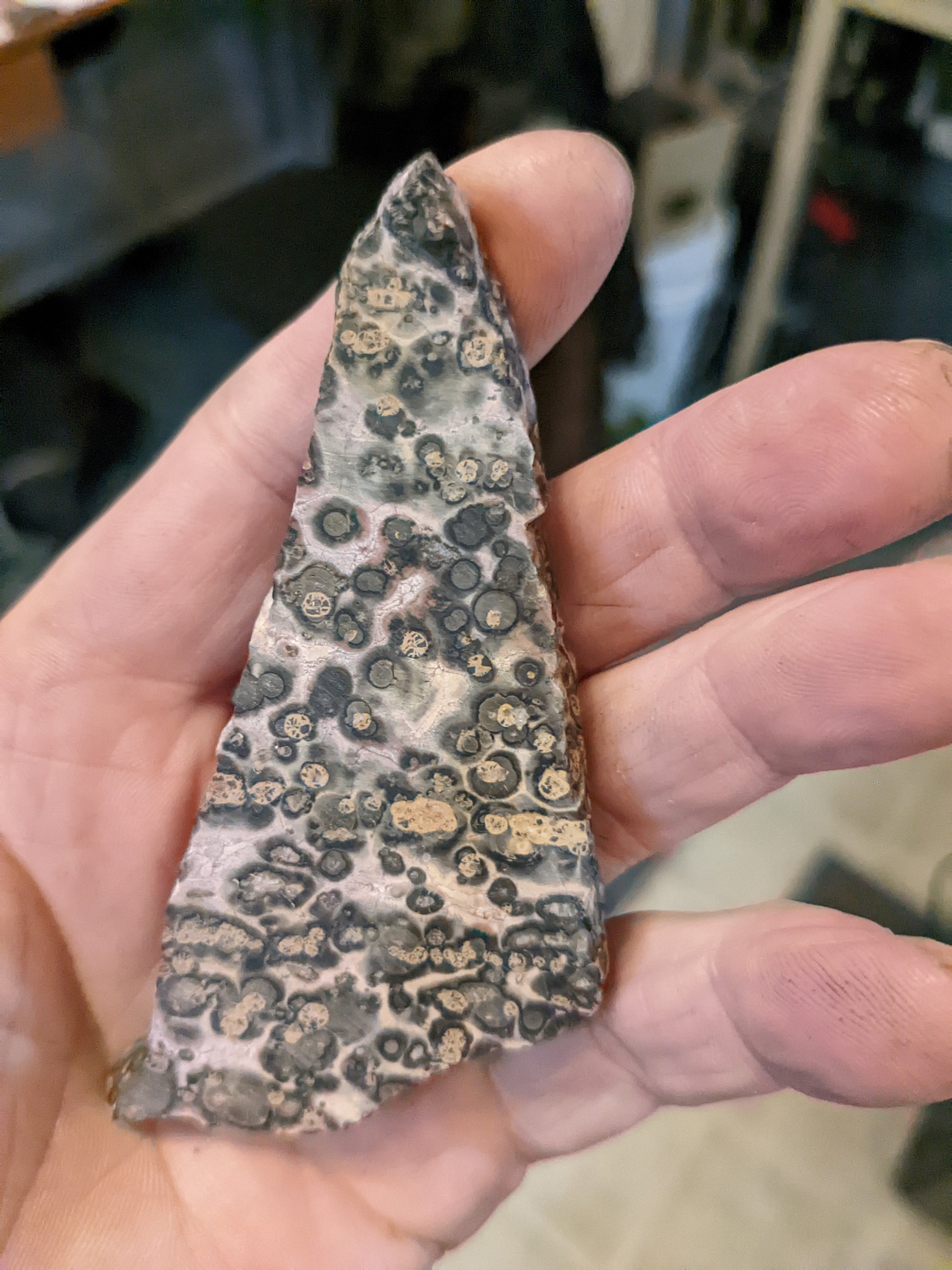 Leopard Skin Rhyolite Slab, Lapidary, Rock, Jewelry Jem Stones - Etsy