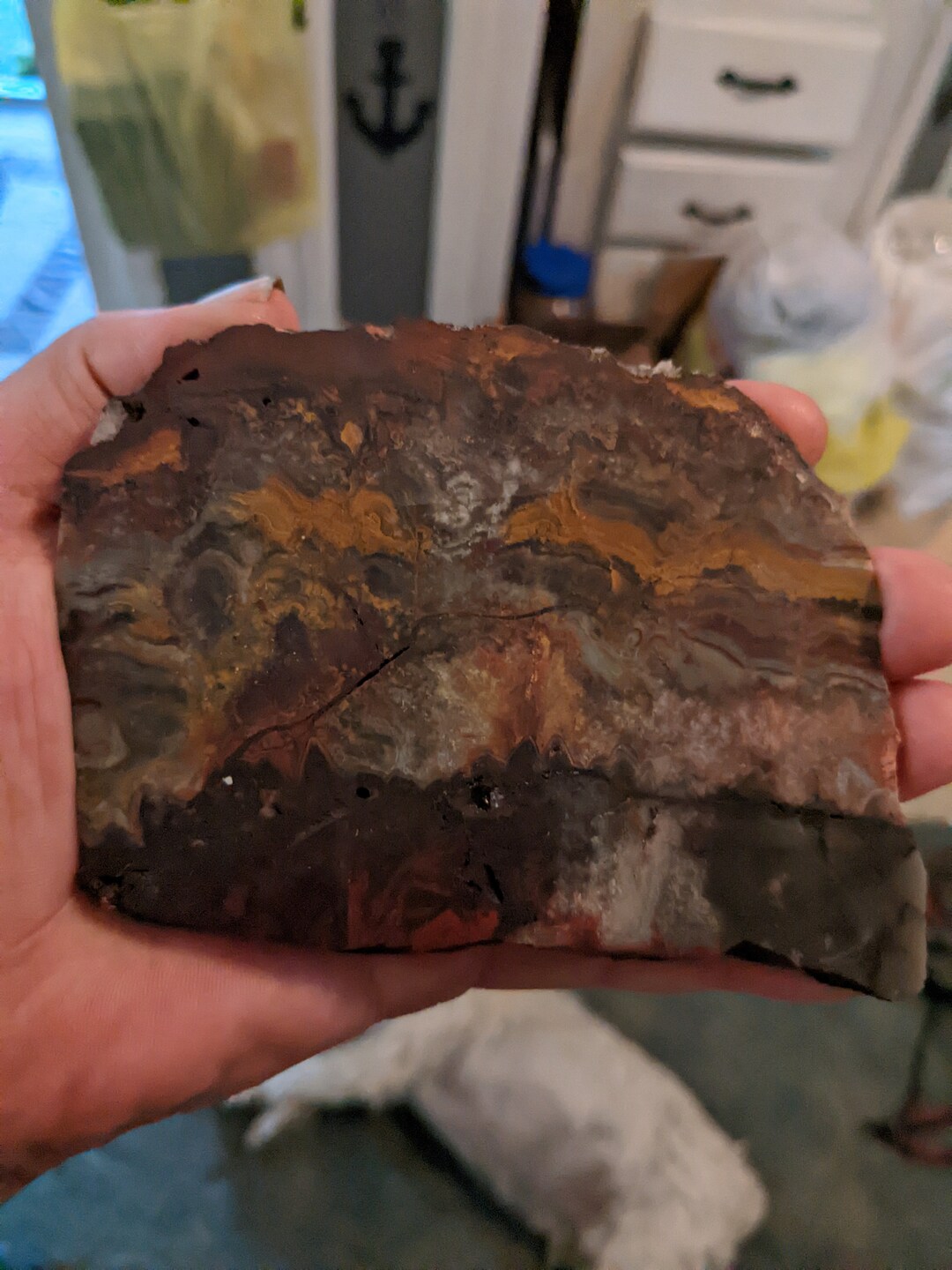 Buy Sarape Jaspar Slab, Lapidary, Rock, Jewelry Jem Stones Online in ...