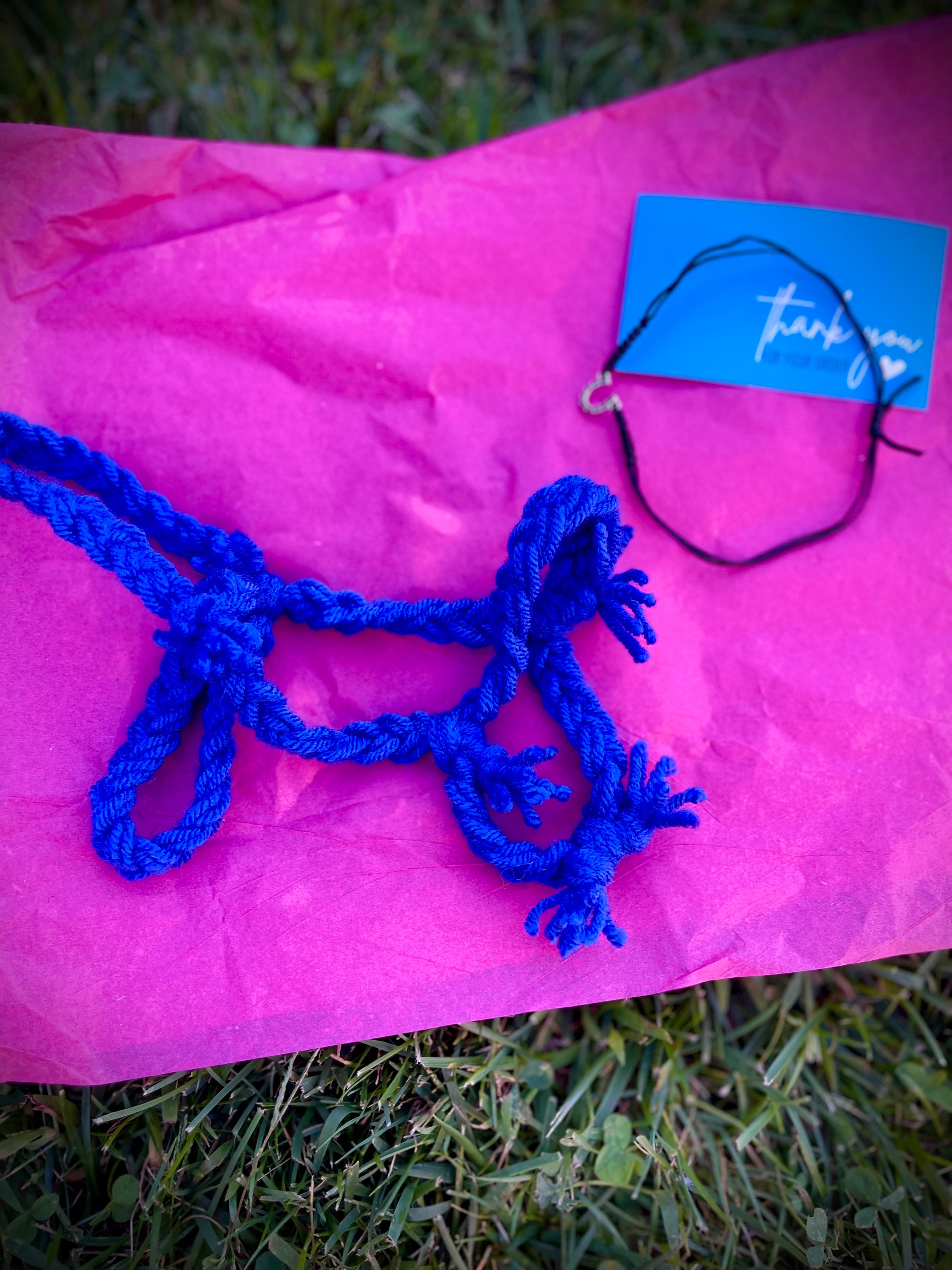 Hobbyhorse BRAIDED HALTERS // Color Options Available // Semi ...