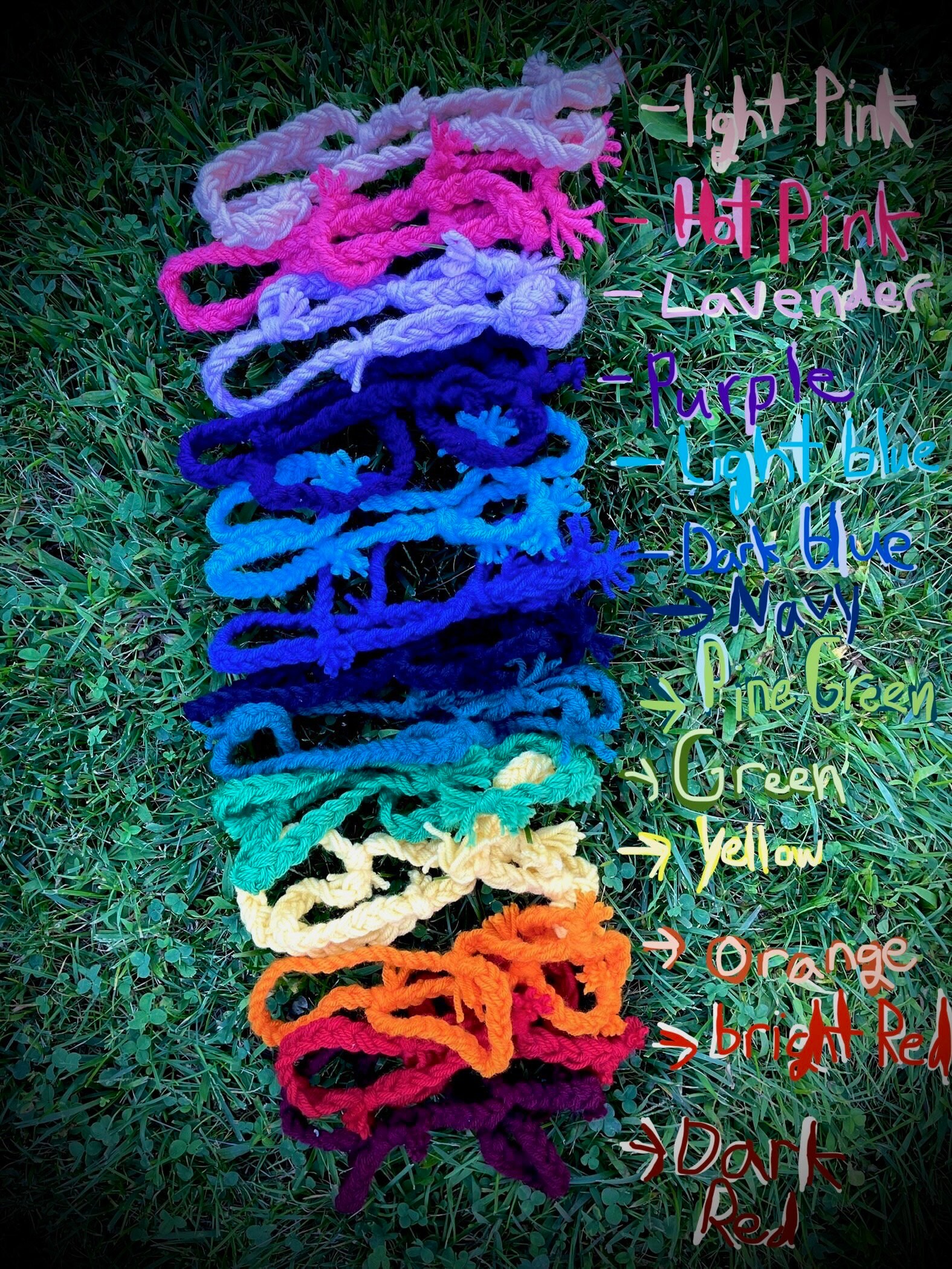 Hobbyhorse BRAIDED HALTERS // Color Options Available // Semi ...