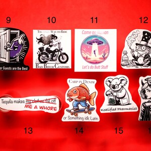 Pick Your Own Adult Sticker Pack Includes 5 Stickers: Deviant Flock's ...