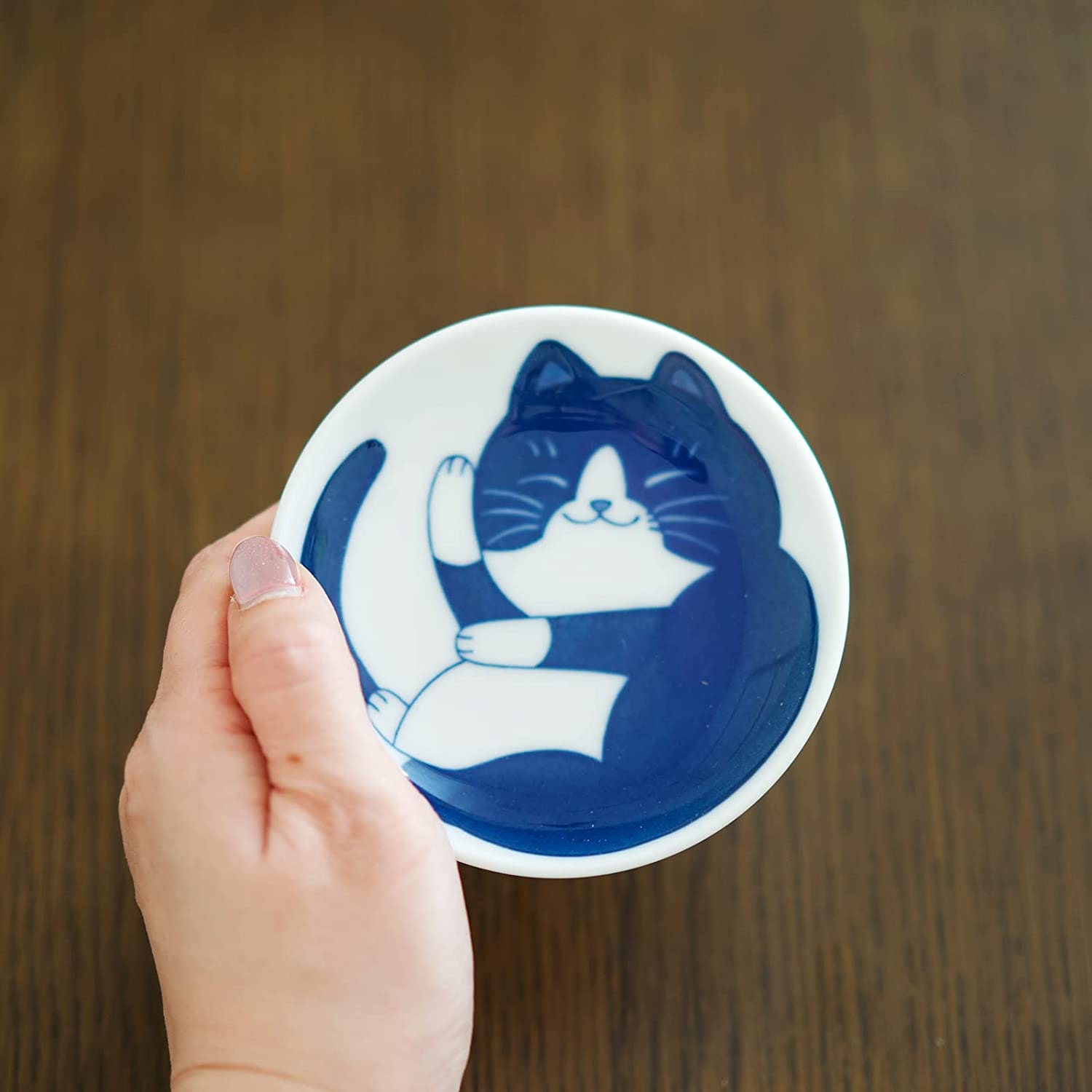 Set of 5 Japanese Mino Ware Ceramic Plate Hand-drawn Cat, Small Sauce ...