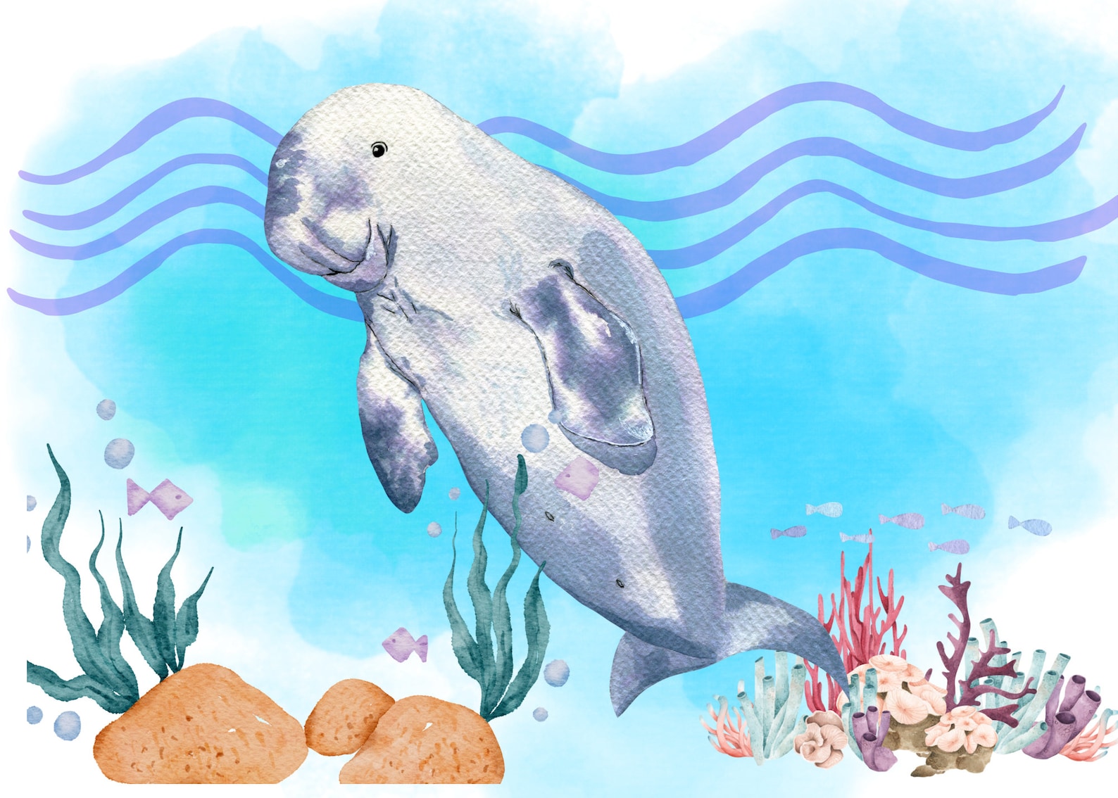 Manatee Card - Etsy