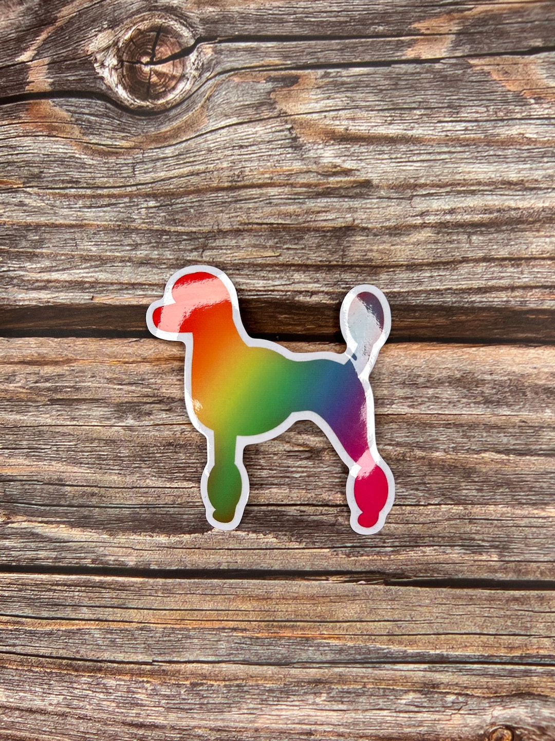 Rainbow Poodle | Standard Poodle Sticker - Etsy