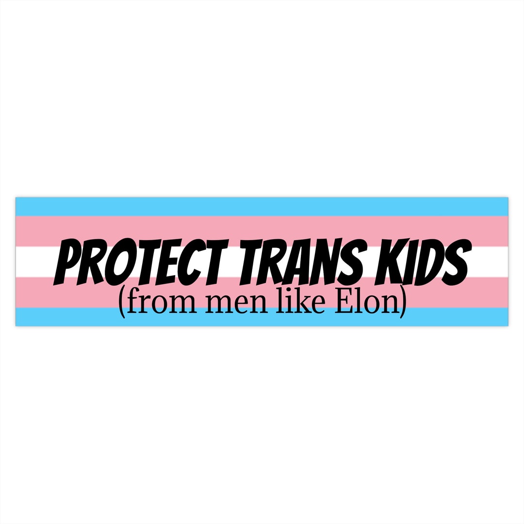 Protect Trans Kids (from Men Like Elon) Trans Transgender Pride Flag ...