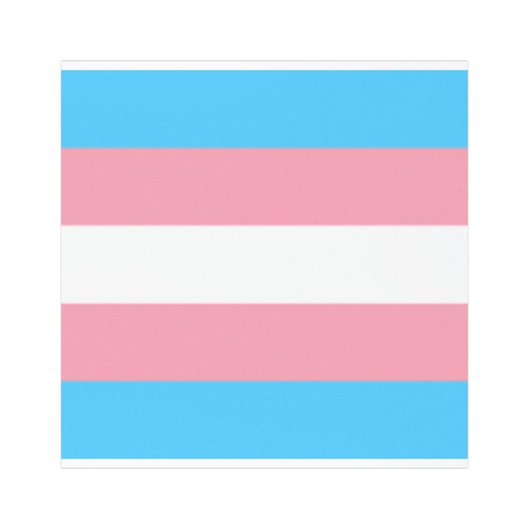 Transgender Trans Pride Flag LGBTQ+ Car Magnet Bumper Sticker - Etsy
