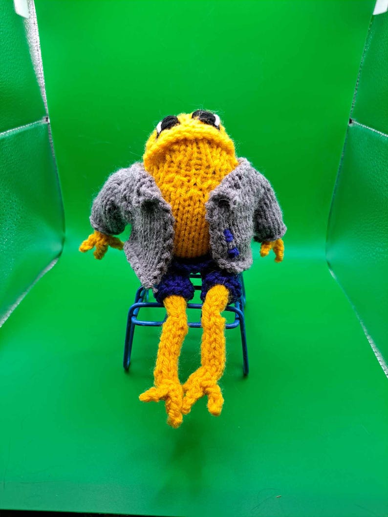 Frog and Toad Handmade Plushie Set - Etsy