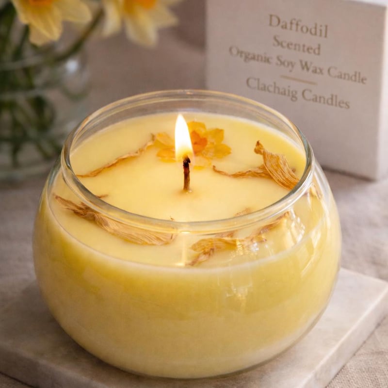 Daffodil Scent Candle - Etsy UK
