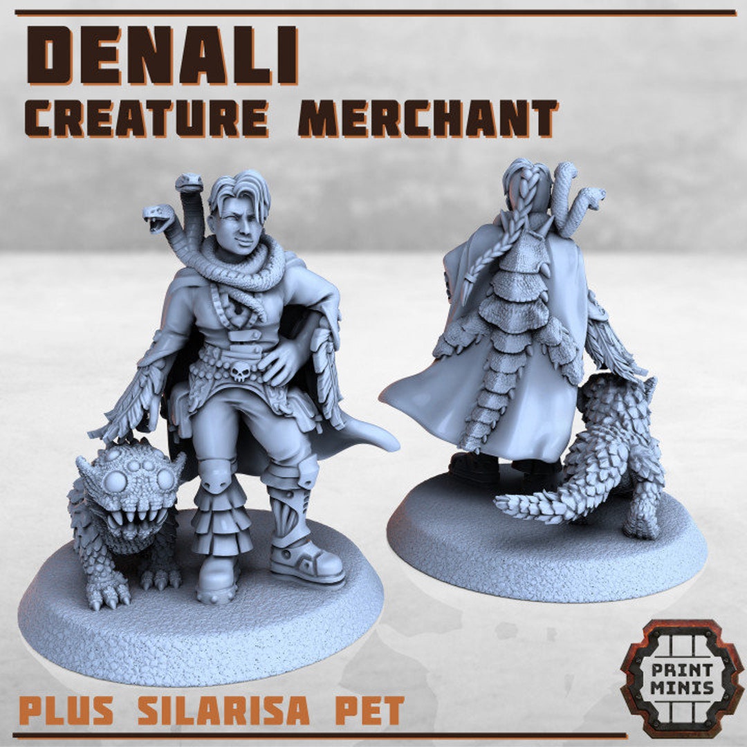 Denali and Silarisa Creature Merchant by Print Minis - Etsy.de