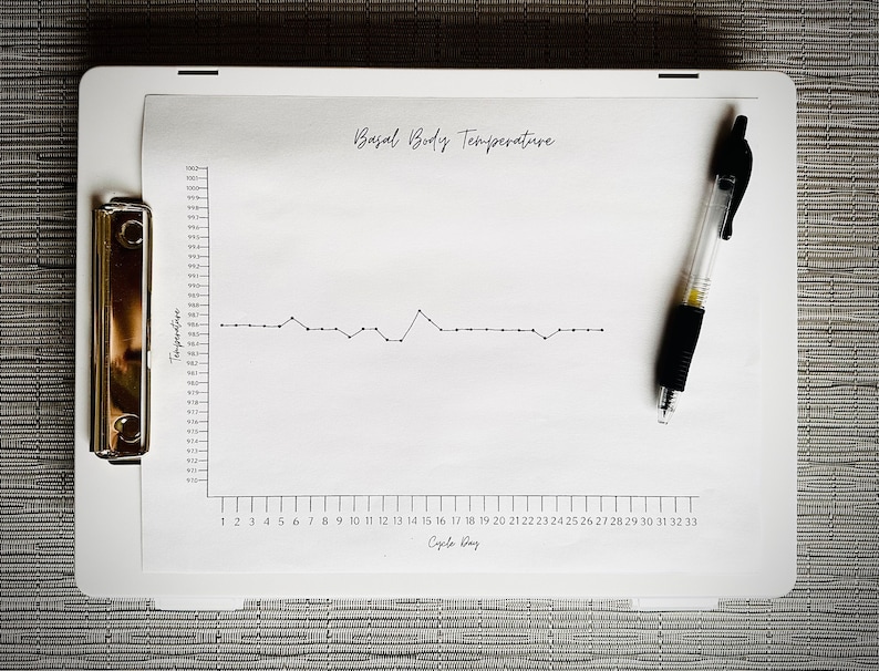Basal Body Temperature Tracker - Etsy