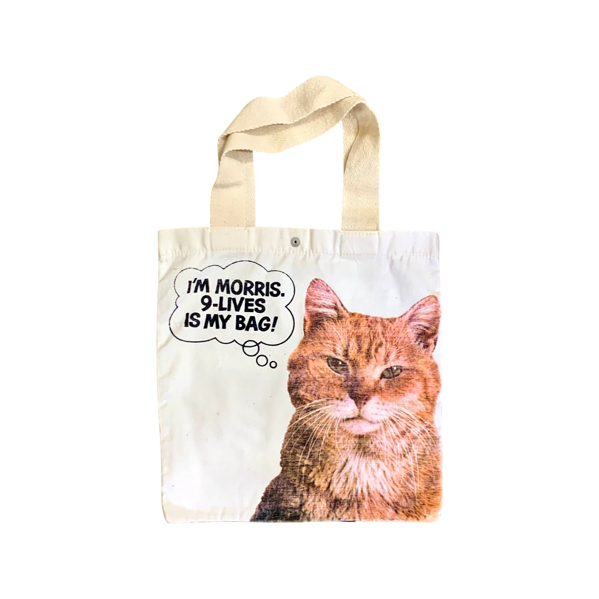Morris The Cat 9 Lives