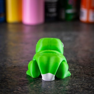 3D Printed Articulated Frog Flexi Fidget Sensory Toy for Adhd- the ...