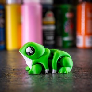 3D Printed Articulated Frog Flexi Fidget Sensory Toy for Adhd- the ...