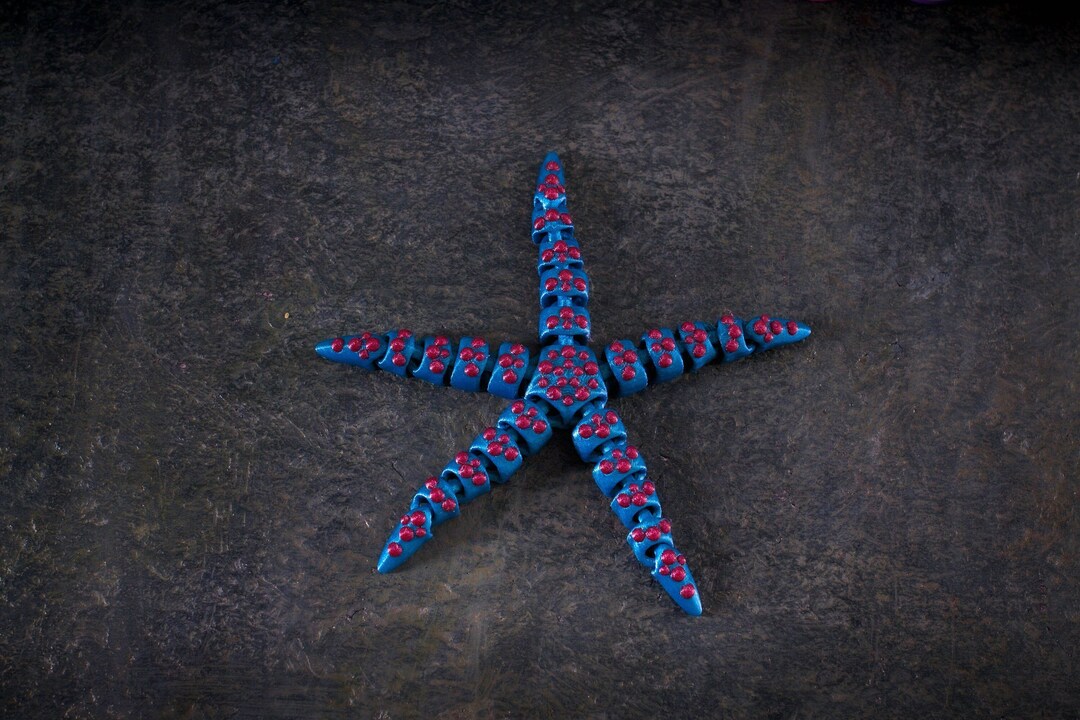 3D Printed Articulated Starfish Flexi Fidget Sensory Toy for Adhd the ...