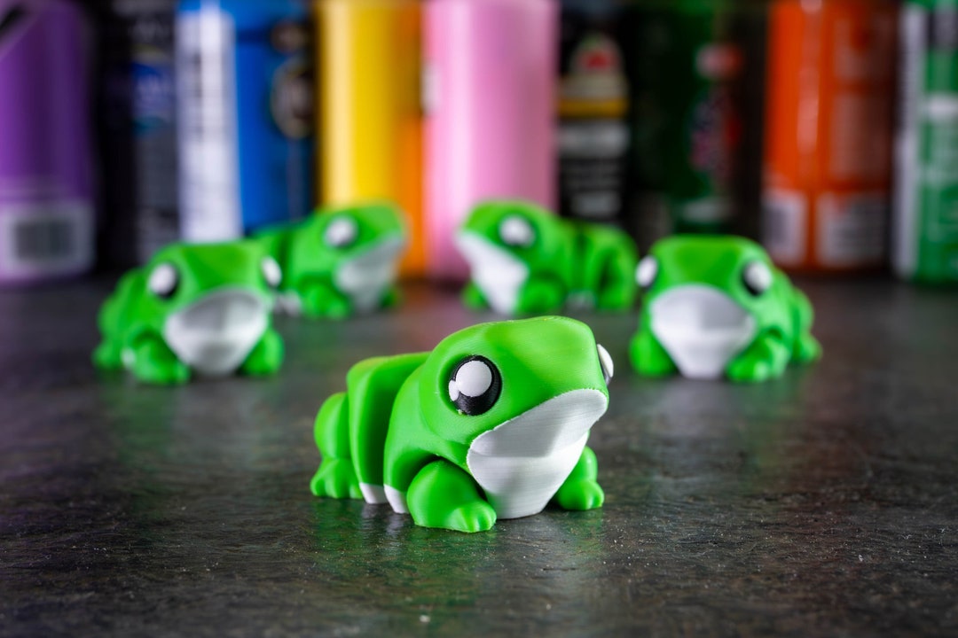3D Printed Articulated Frog Flexi Fidget Sensory Toy for Adhd the ...
