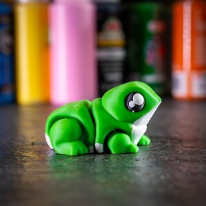 3D Printed Articulated Frog Flexi Fidget Sensory Toy for Adhd the ...