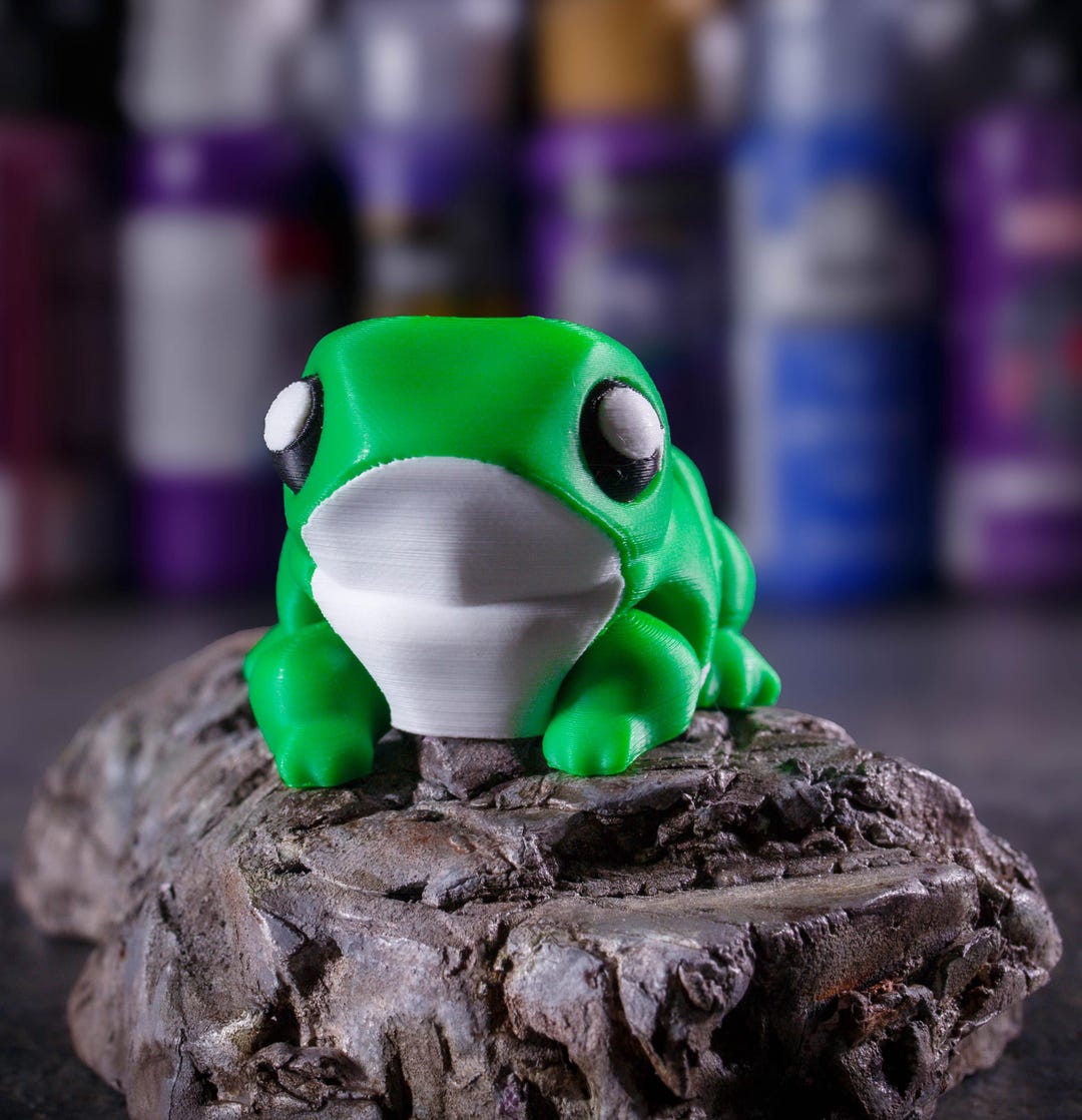 3D Printed Articulated Frog- Fun Adhd Fidget Toy for Stress Relief and ...