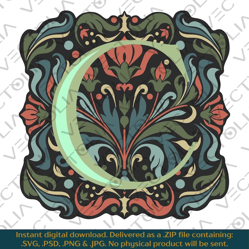Medieval Illuminated Manuscript Letter C - Hand-drawn Vector Design ...