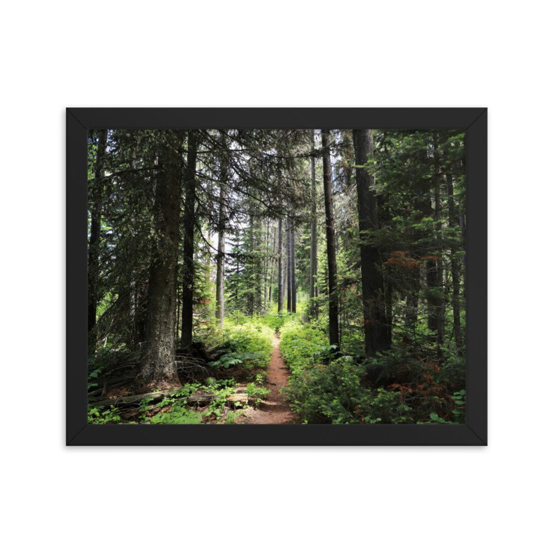 Framed Print, Grand Teton National Park, Wyoming, Taggart Lake Loop ...