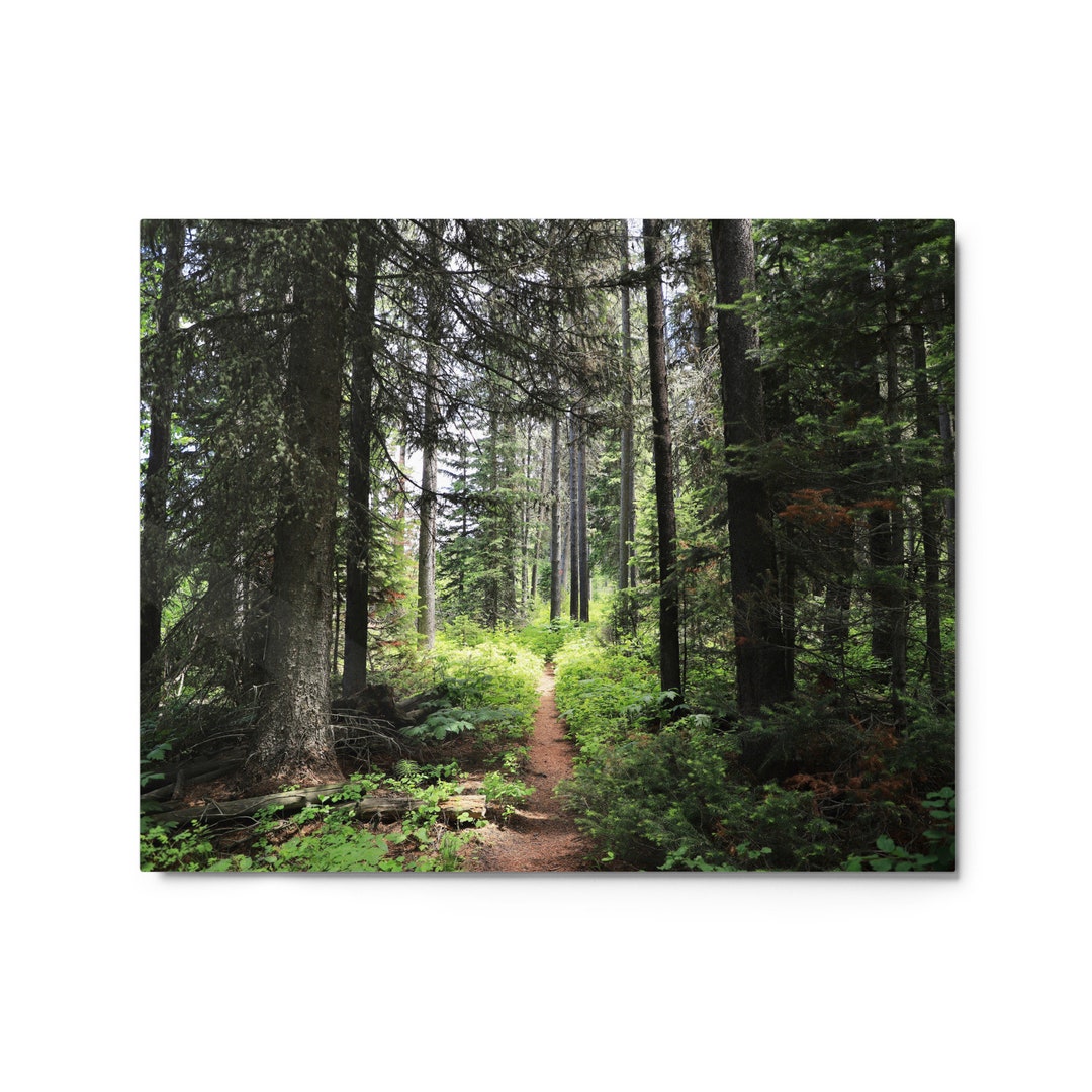 Metal Print, Grand Teton National Park, Wyoming, Taggart Lake Loop Hike ...