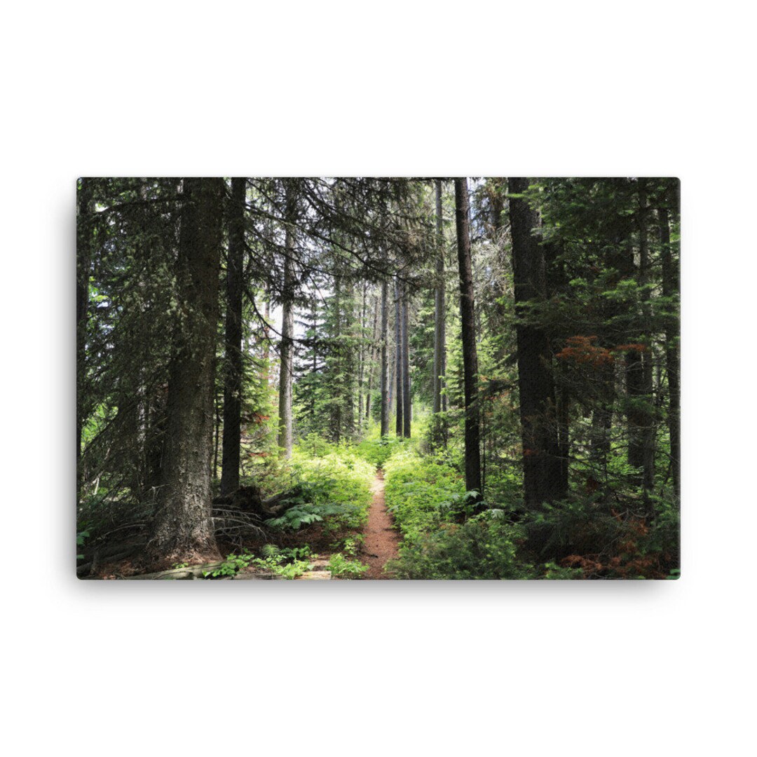 Canvas Print, Grand Teton National Park, Wyoming, Taggart Lake Loop ...
