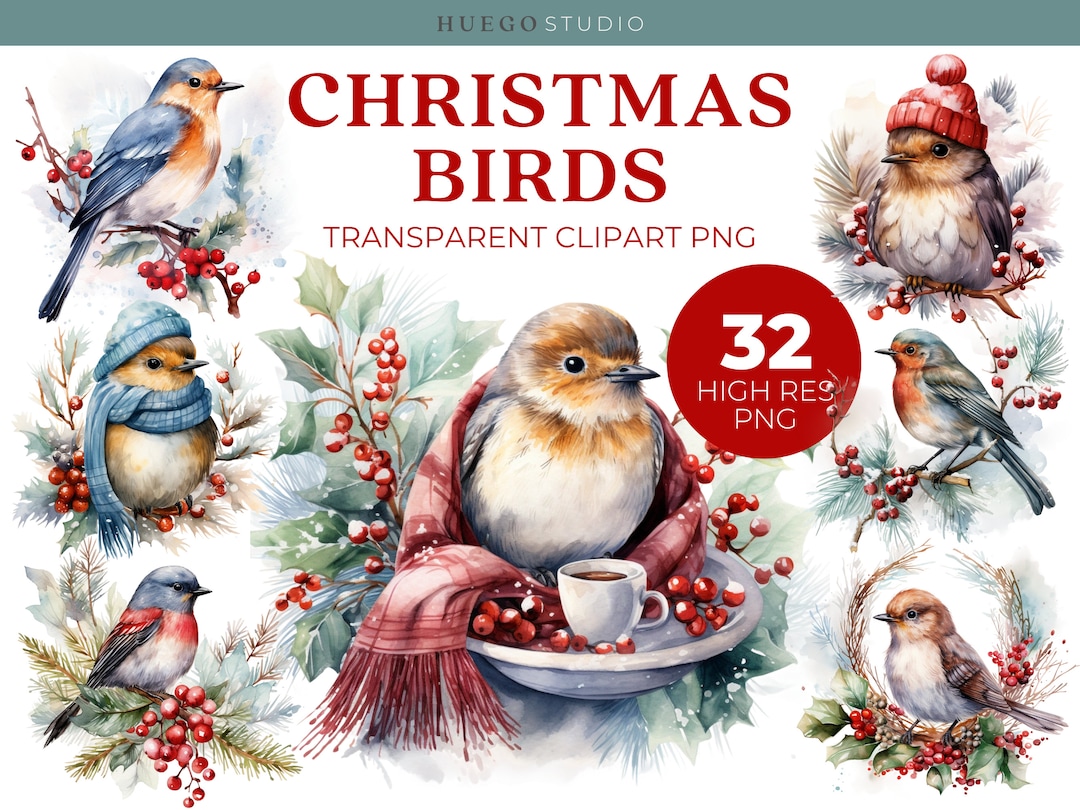 Christmas Winter Bird Clipart Paper Craft Merry Christmas Red Cardinal ...