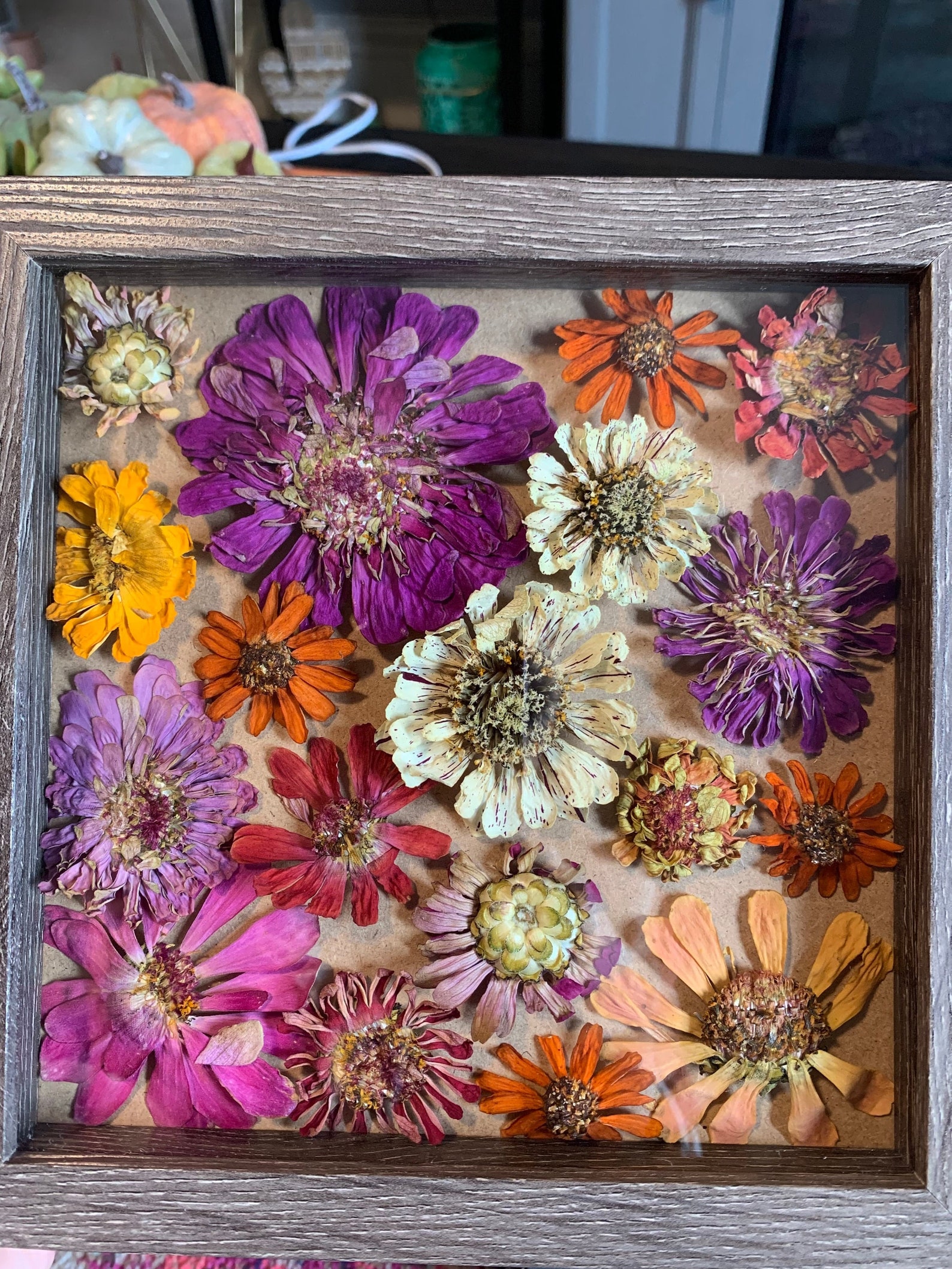 Dried Flower Shadow Box - Etsy